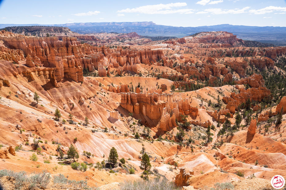 Visiter Bryce Canyon : Tout ce qu'il y a à savoir