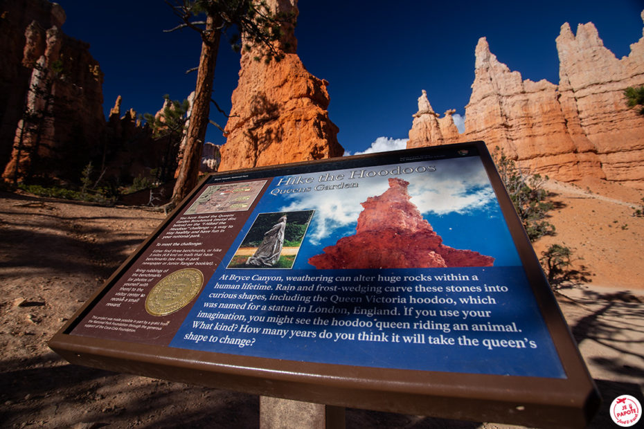 Visiter Bryce Canyon : Tout ce qu'il y a à savoir